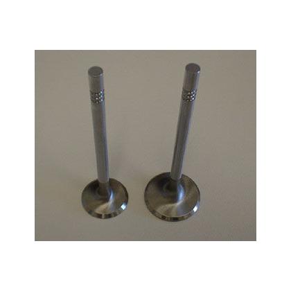 MMR 1999-2004 Mustang GT Stainless Steel 2V / SOHC Valve kit - 100655